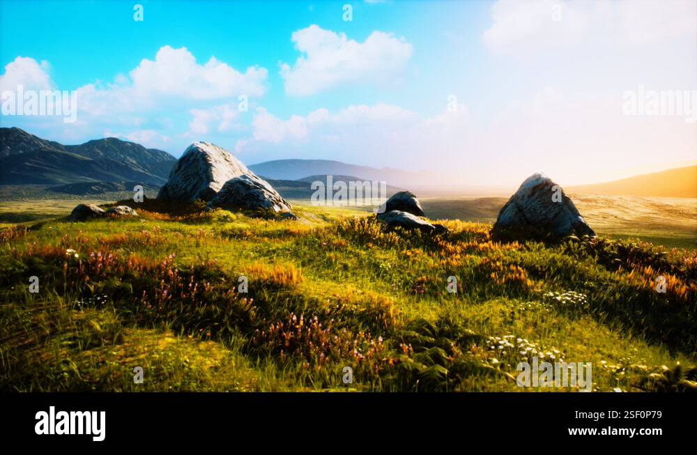 meadow with huge stones among the grass on the hillside at sunset Stock ...