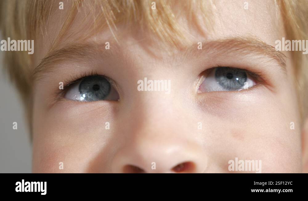 Close-up Child Blue Eyes Kid Boy Face Pupil Cornea Iris Eyeball Eyelash ...