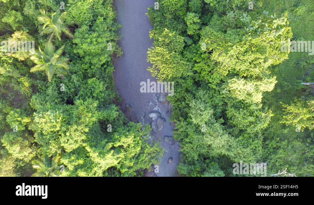 Aerial top down of natural Rio Higuero River flowing between green ...