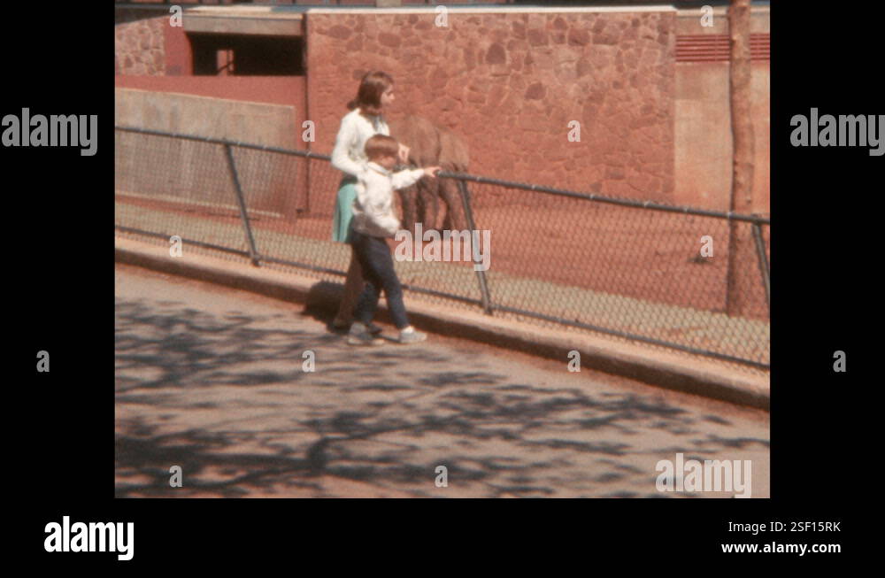 1960s: Boy and girl watching the elephants at the zoo, walking down the ...