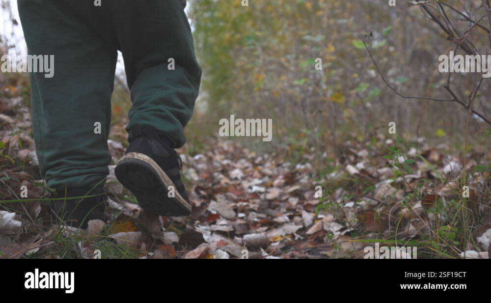 Small Caucasian Kid Walk in Path with Autumn Foliage Outdoor in Slow ...