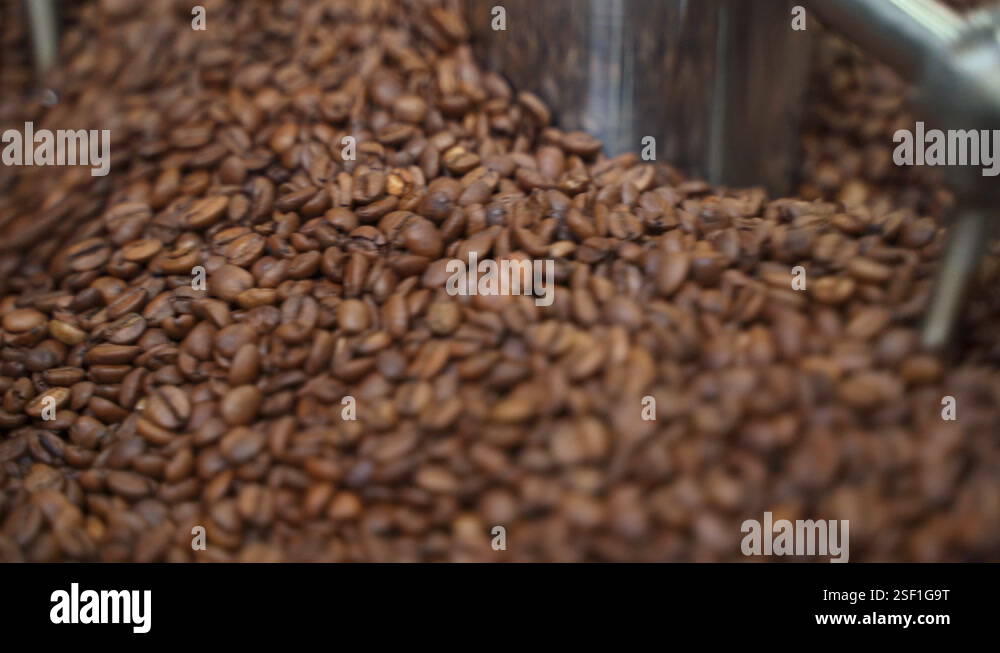 Closeup view of Arabica beans roasting and drying inside working ...