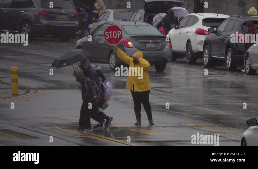 School Crossing Guard Helping a Family Cross a Road in the Rain Stock ...