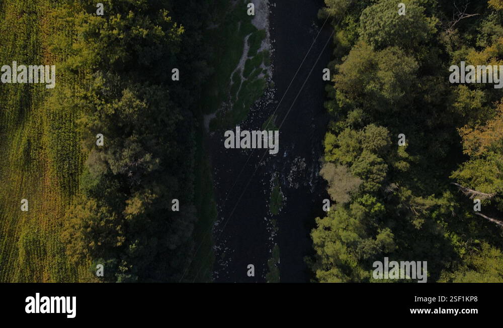 Fly over the river surrounded by trees and power lines leading across ...