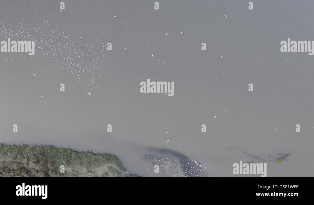 An aerial shot of Yamuna Ghat during Covid-19 Lockdown at New Delhi ...