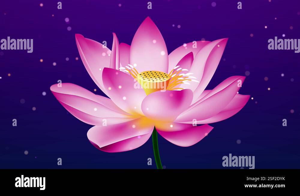 Beautiful Lotus Flower Sway In The Wind with Glitter Sparkling Magical ...