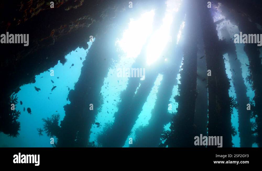 Underwater pillars Stock Videos & Footage - HD and 4K Video Clips - Alamy