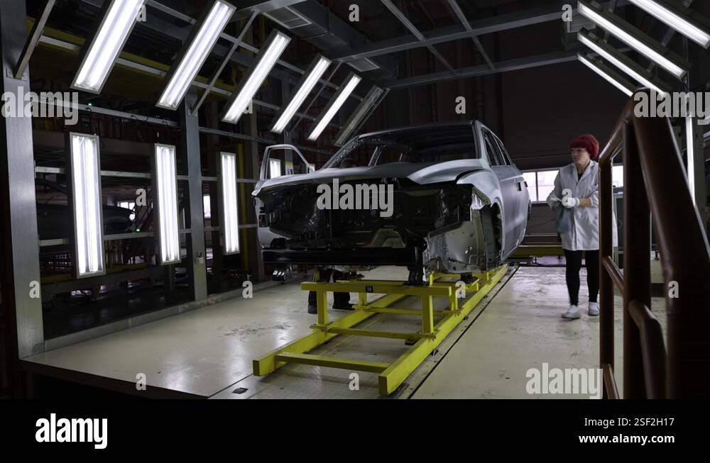 Body inspection Stock Videos & Footage - HD and 4K Video Clips - Alamy