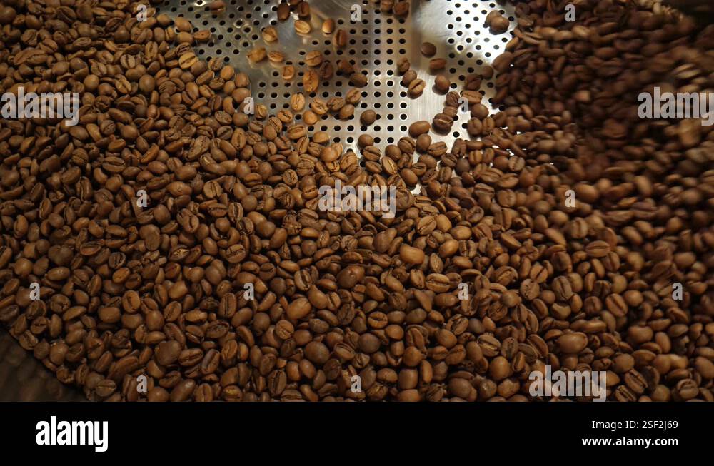 Roasting Coffee machine moving the coffee beans, medium roasting Stock ...