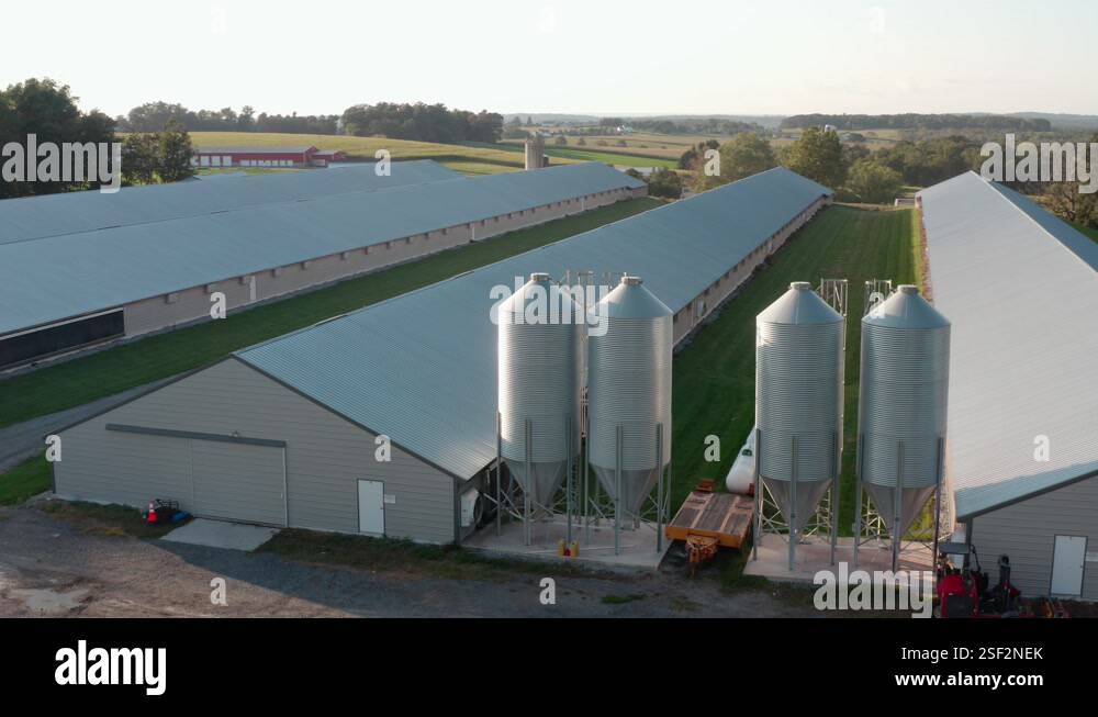 Aerial of feed bins and poultry chicken houses and barns. Agriculture ...