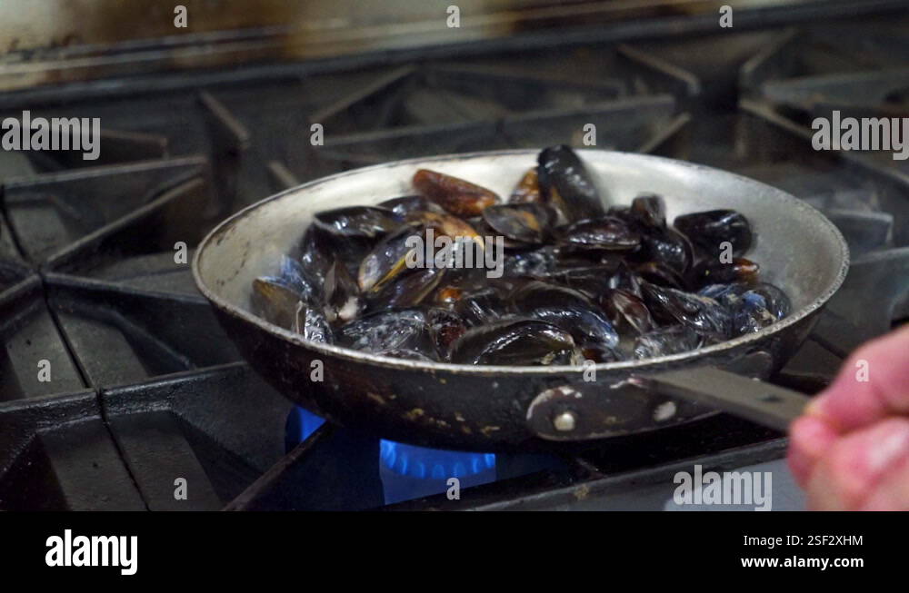 Chef swirls mussels in pan over stove flame, cooking an order of ...