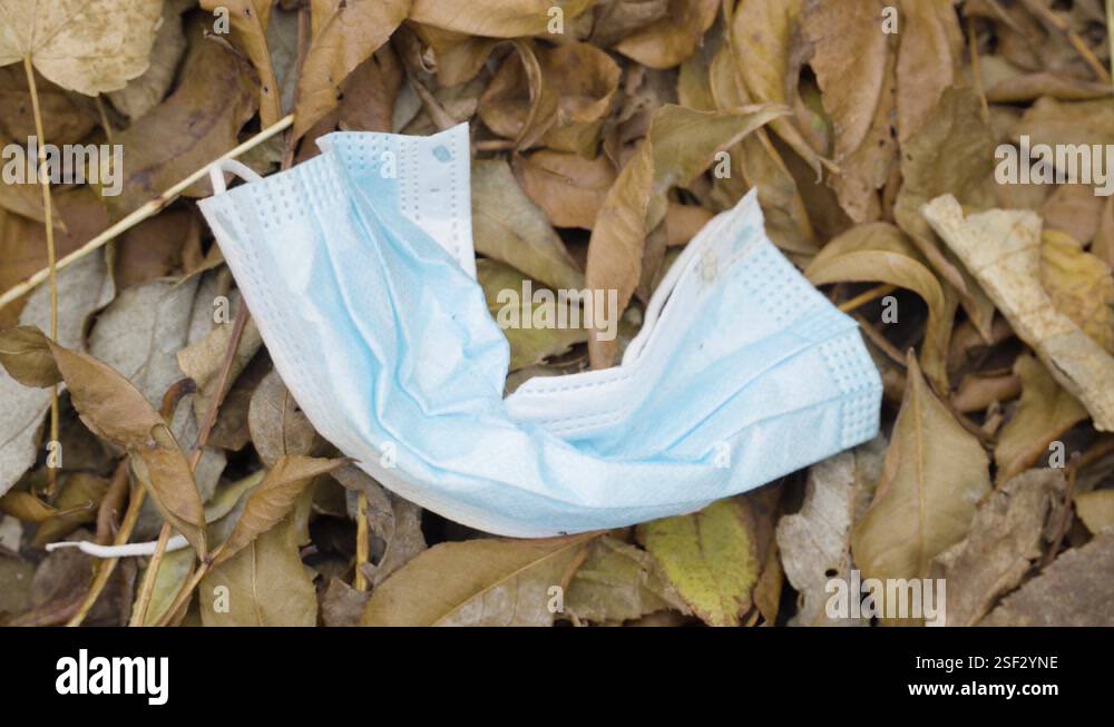 Crumpled leaves Stock Videos & Footage - HD and 4K Video Clips - Alamy