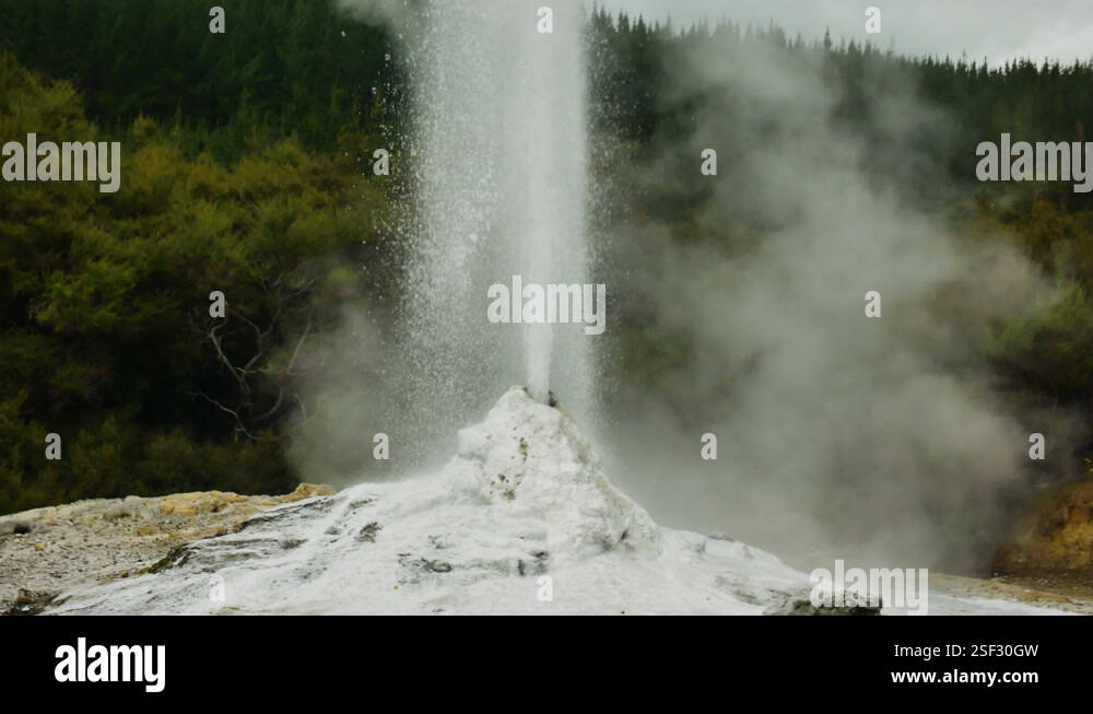 Tilt up shot of giant Geyser Eruption in Wai-O-Tapu Thermal Wonderland ...