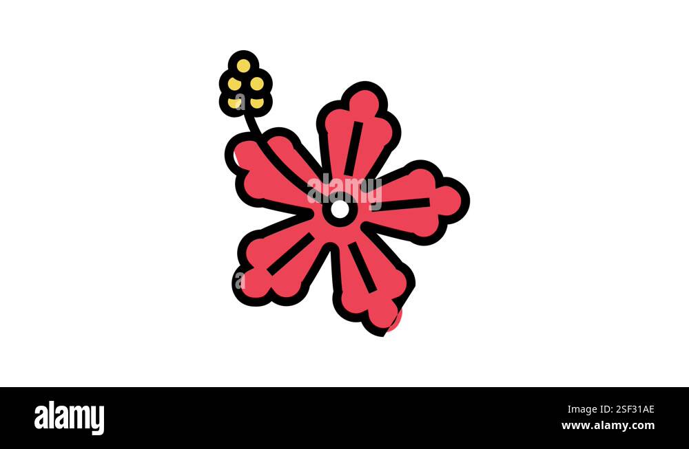hibiscus flower hawaii color icon animation Stock Video Footage - Alamy