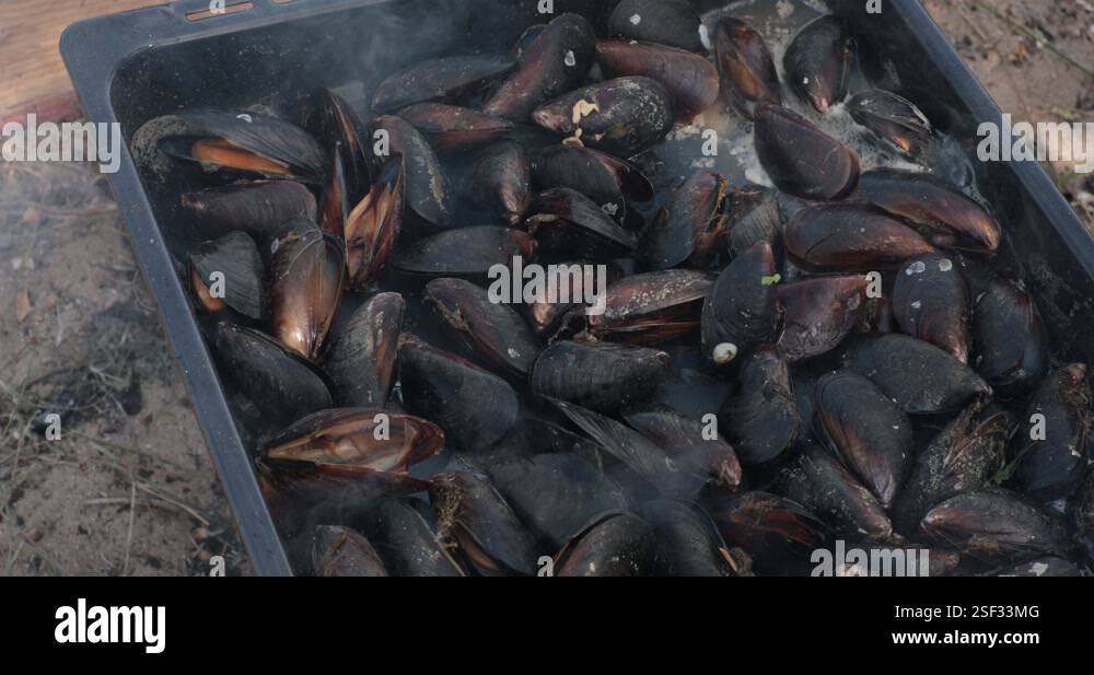 Seafood mussels in shells cook on barbecue baking sheet with smoke and bubbles Stock Video ...