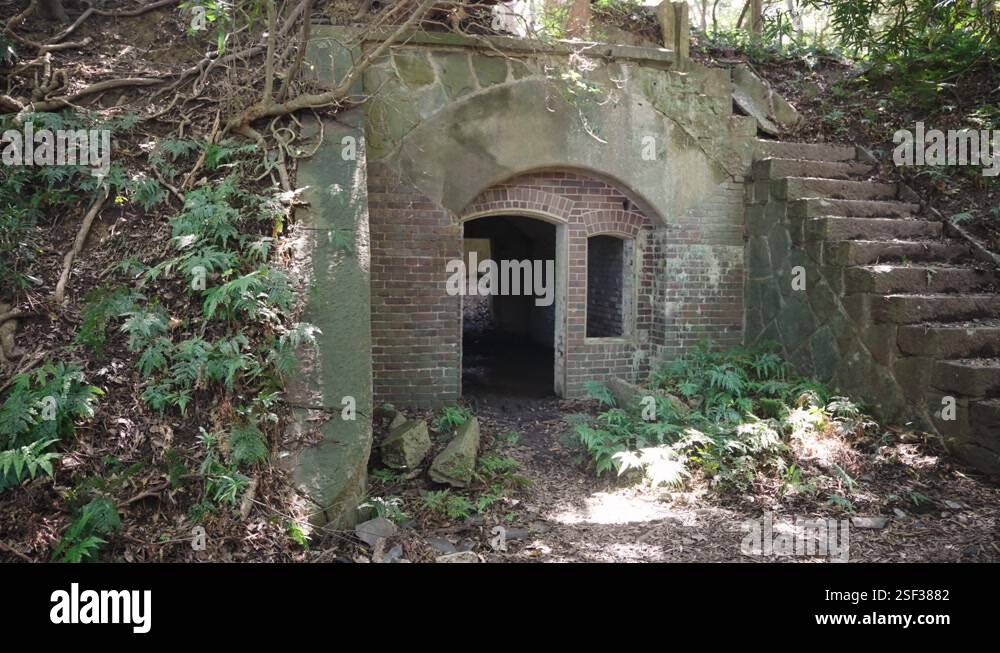 Underground bunker ruins on Tomogashima Island, Hidden in jungle, Japan ...