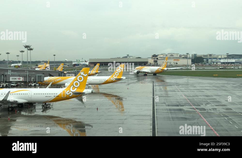 Singapore: Scoot Airlines passenger jets on apron at Changi Airport, 4K ...