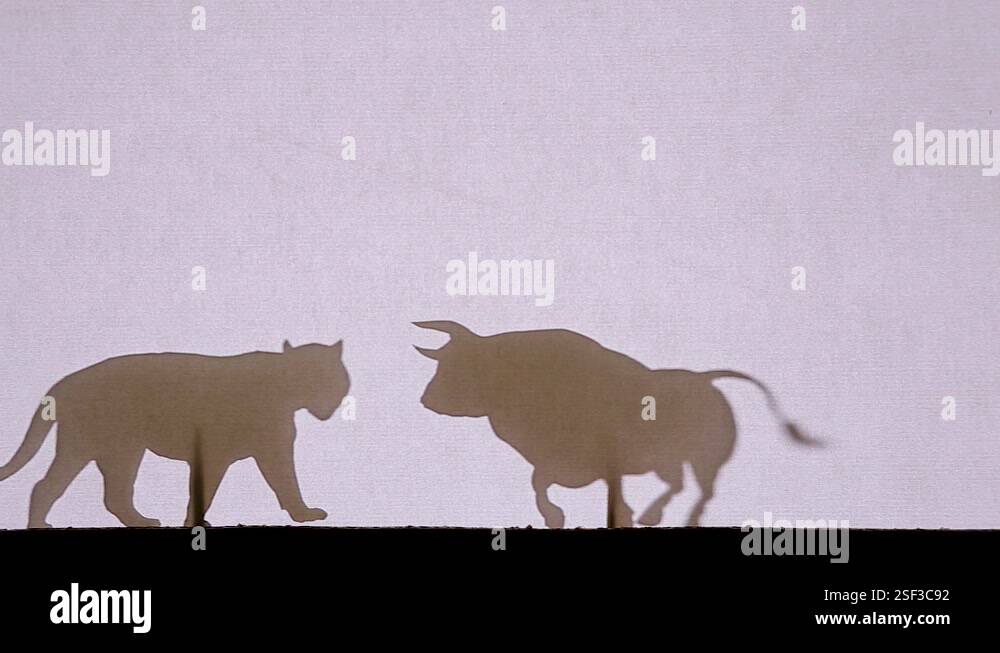 Puppet Shadow Theatre. The tiger and the bull attack each other. The ...