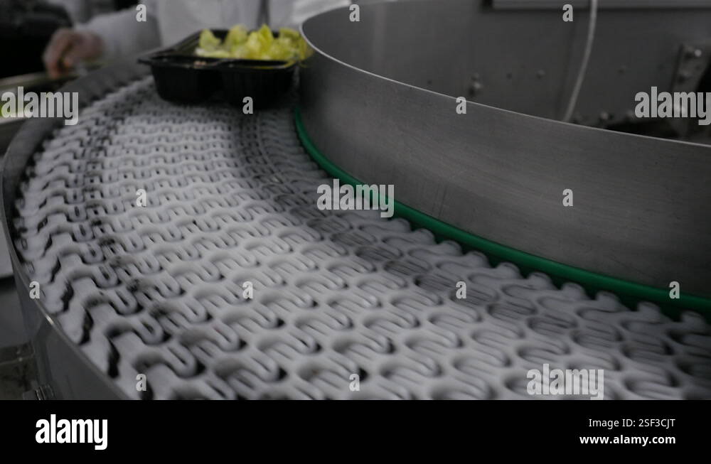 Food factory conveyor line. Packaging line at food processing plant ...