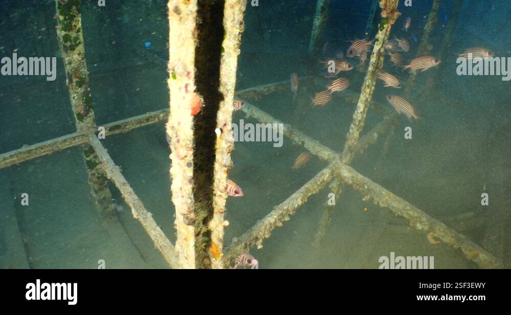 ship wreck deep blue water ocean scenery of metal underwater for scuba ...