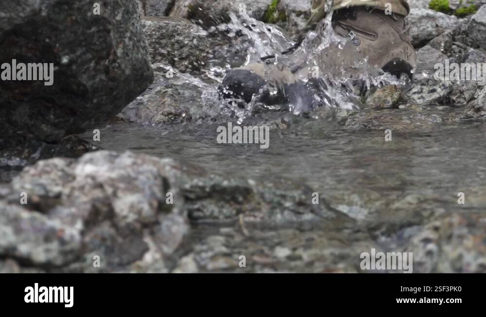 Close up of a tourist hiking boot stepping into a clean mountain river ...