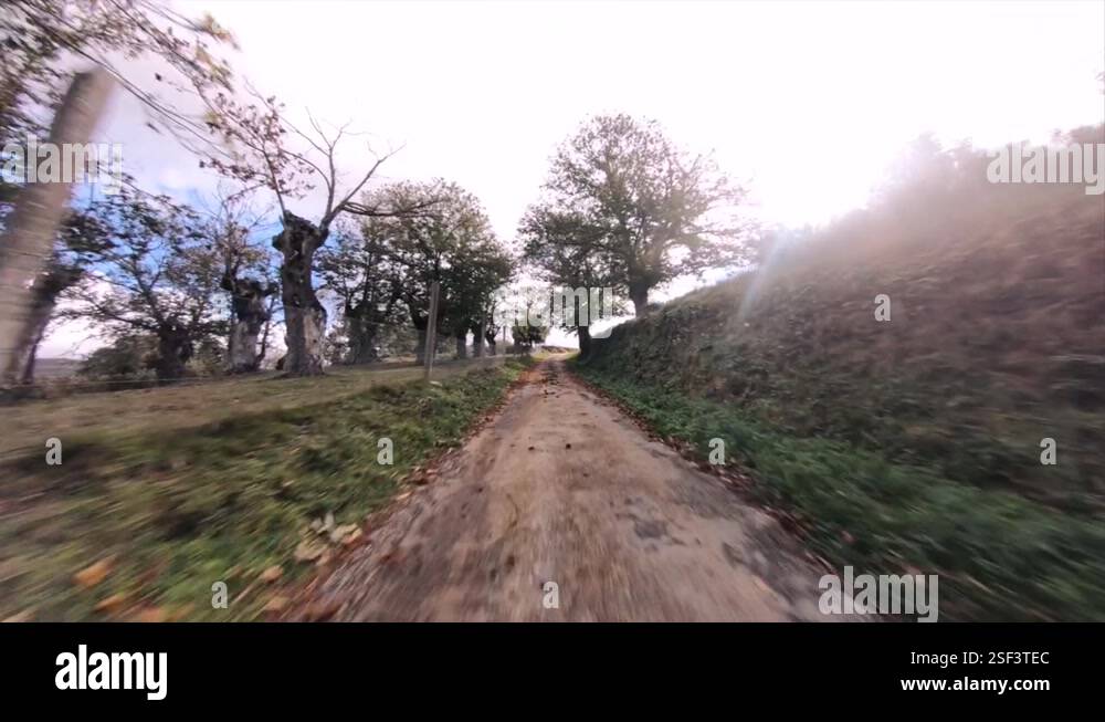 Low to the Ground High Speed FPV Drone Flying on Bucolic Country Road ...