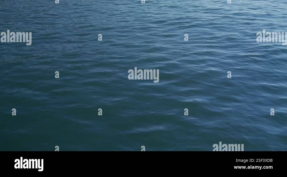 Sea water wave ripple texture Stock Video Footage - Alamy
