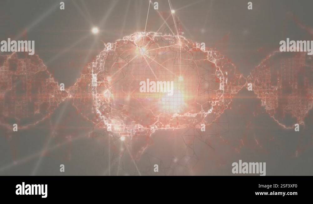 Animation of human brain and dna strand spinning over network of ...