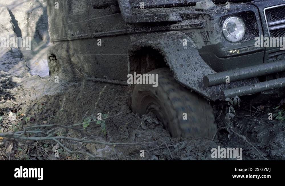 Dirty car tire close up, mud tires. Off-road, dirty car wheel among ...