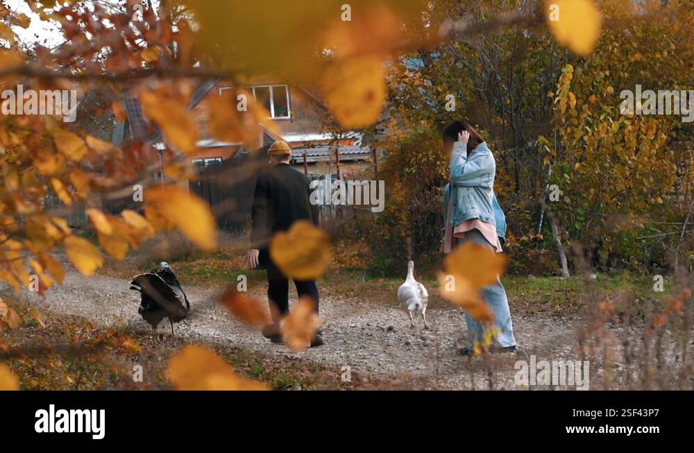 People run away from wild turkeys on a country road in the village ...