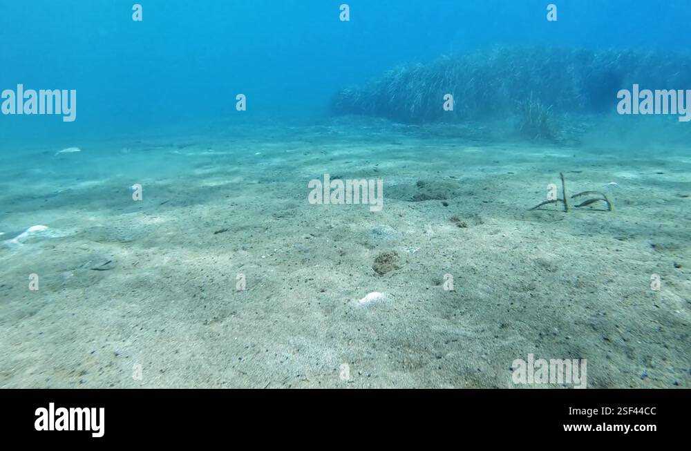Scuba Diving Underneath The Ionian Sea At Kefalonia Island, Greece ...