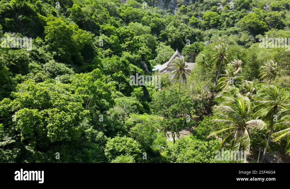 Aerial steady footage of a Buddhist temple complex within the forest ...