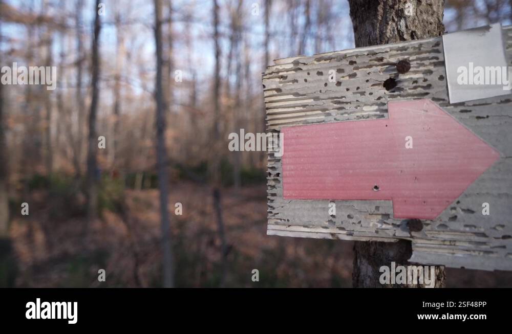 Arrow Direction on a Tree In a Forest Guiding Hiking Path Stock Video ...