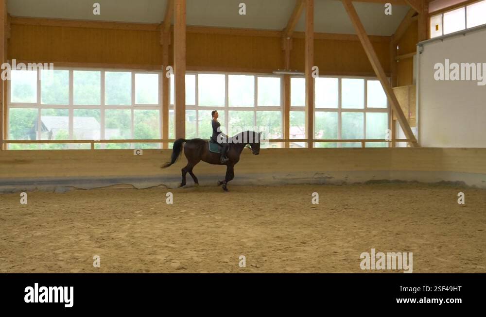 SLOW MOTION: Rider practices cantering with her gelding during flatwork ...