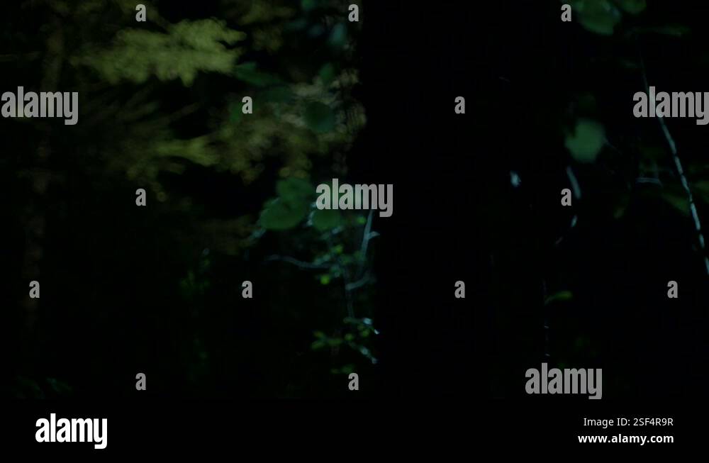 Wounded and bloody woman looking at something terrifying in a dark ...