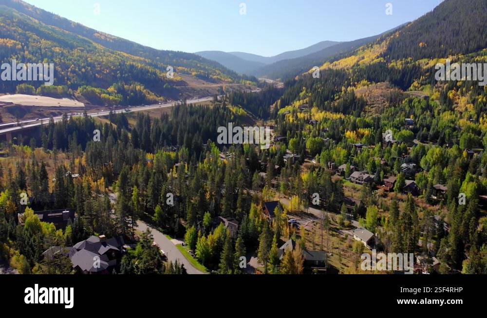 Beautiful Yellow Green Autumn Scenery Near Alpine Woodland Mountain ...