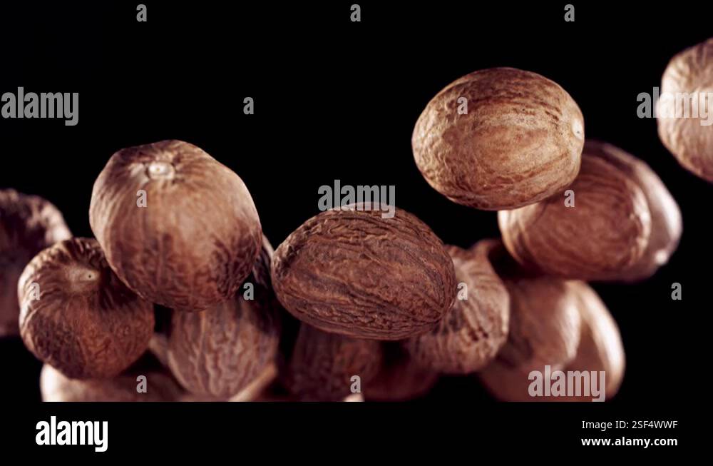 Nutmeg, myristica fragans, Nut flying. Black Background, Slow Motion 4K ...