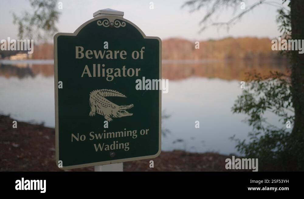 No wading sign Stock Videos & Footage - HD and 4K Video Clips - Alamy