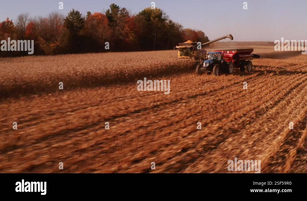 4K AERIAL FOOTAGE OF COMBINE OPERATION WITH SUPPORTING TRACTORS REAPING ...