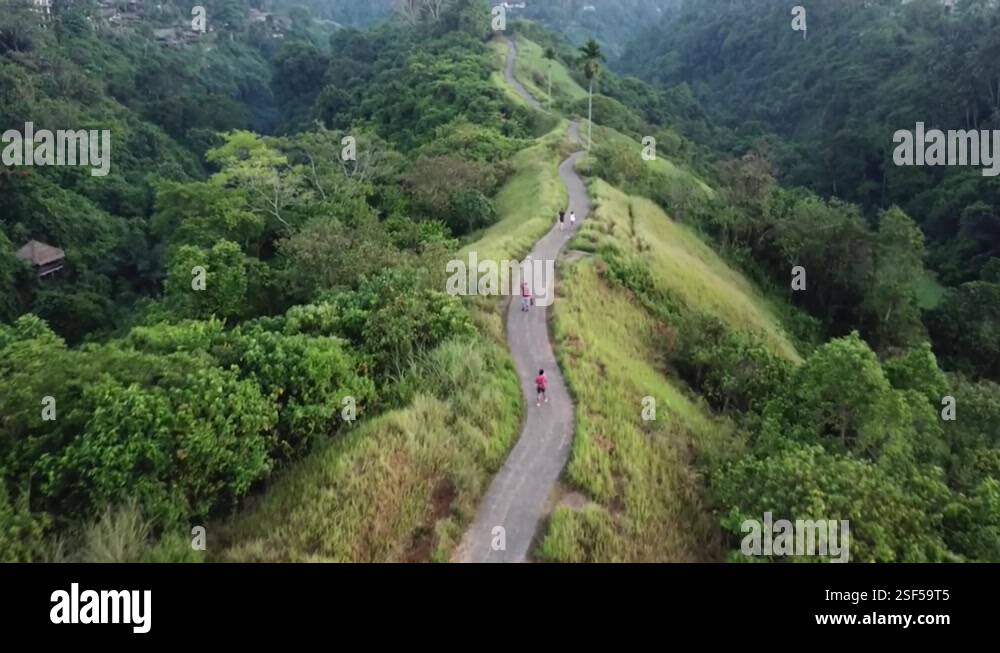 Campuhan Ridge Walk Bali Ubud Hiking Trail Tourists Walking Aerial ...