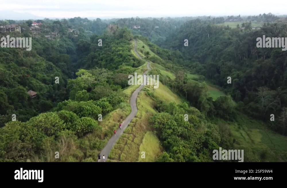 Campuhan Ridge Walk Bali Ubud Hiking Trail Aerial Ascending Drone Stock ...
