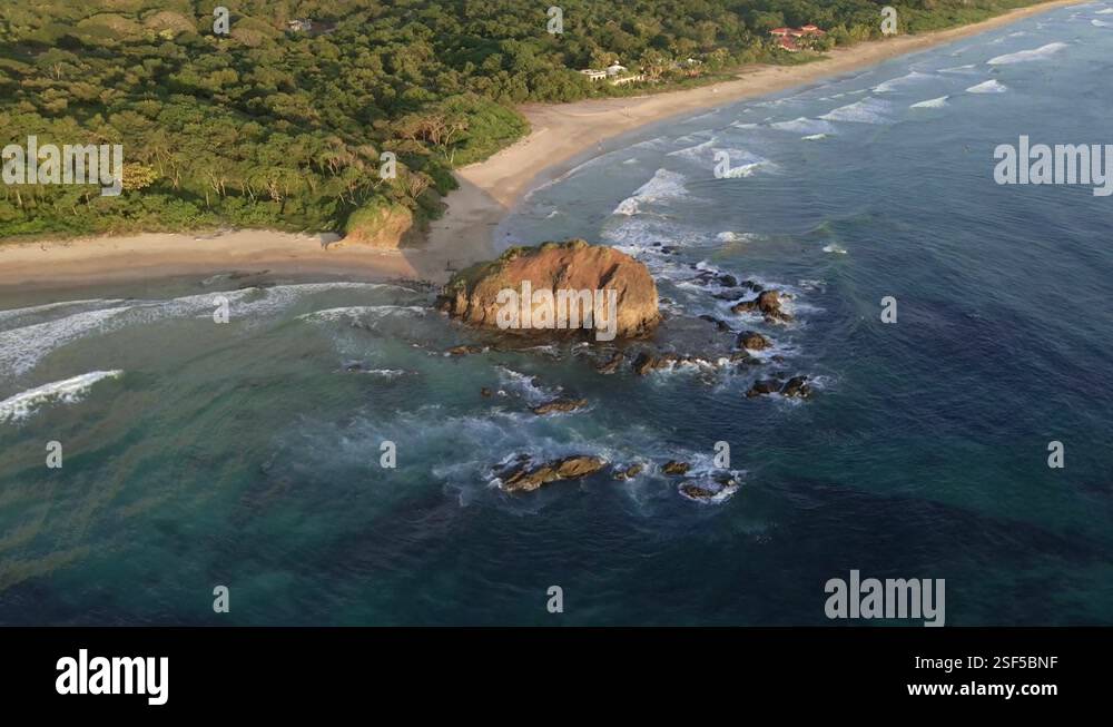 Leatherback turtles costa rica Stock Videos & Footage - HD and 4K Video ...