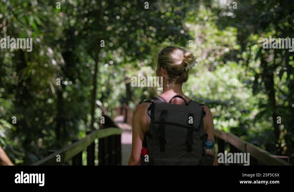 Behind female backpacker walking through wonderful lush jungle of ...