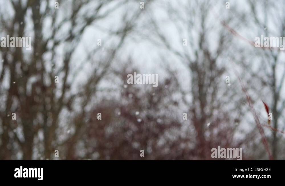 Snow flakes falling on a winter day Stock Video Footage - Alamy