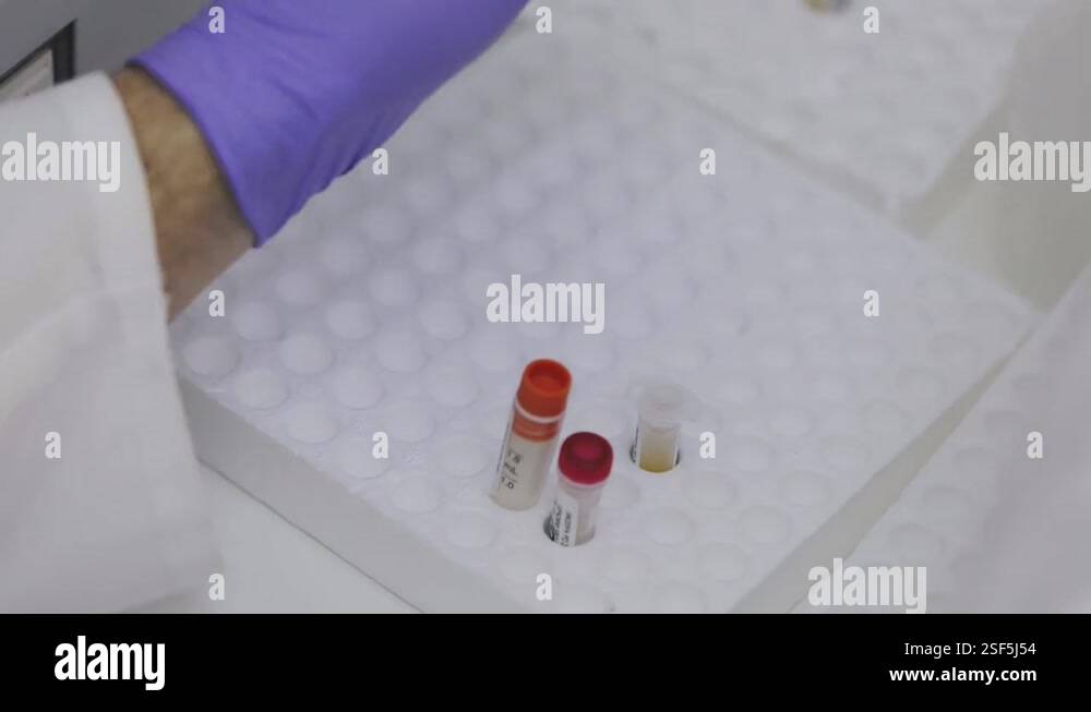 Working with test tubes in the laboratory. Research work in the ...