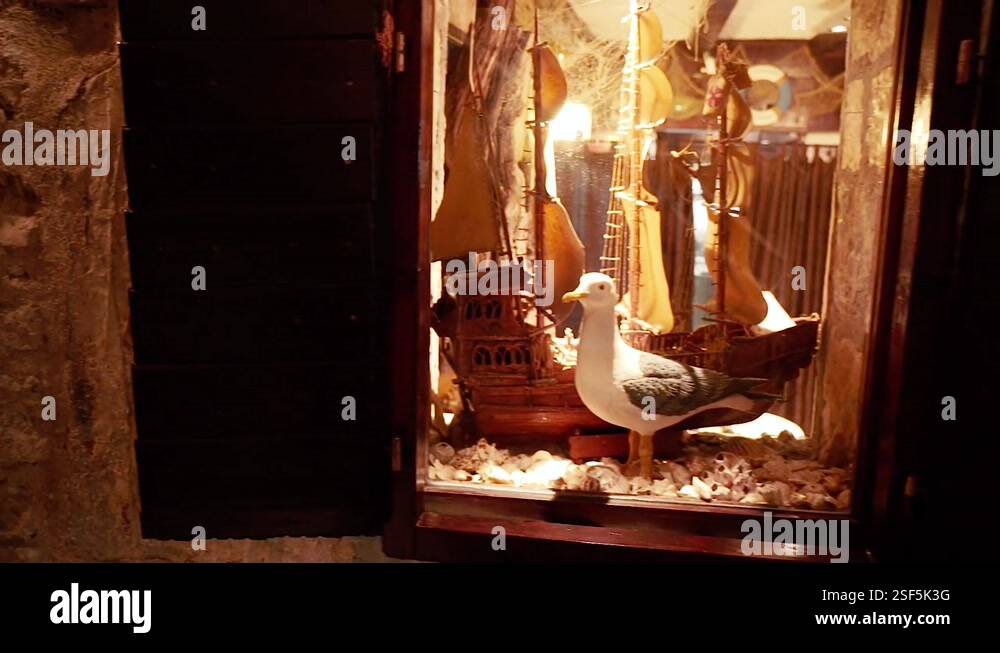 Window. A window in which a model of a seagull and an old wooden ship ...