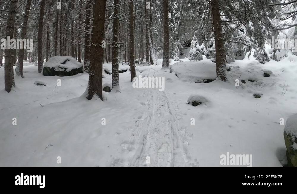 Everything in full view Stock Videos & Footage - HD and 4K Video Clips ...