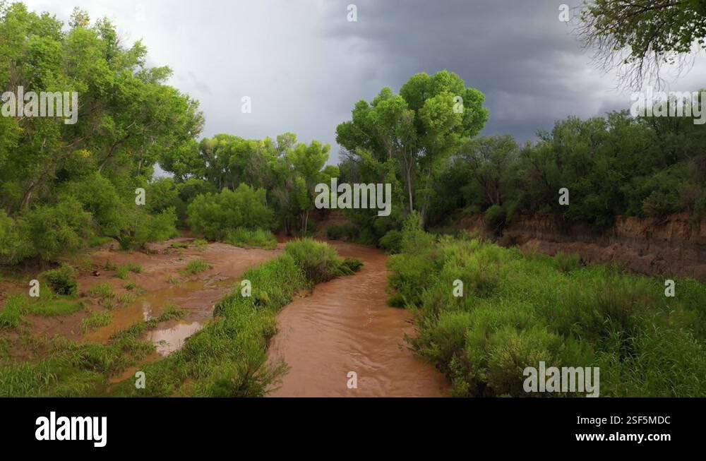 Muddy brown river lined with green grass and trees, drone backwards ...