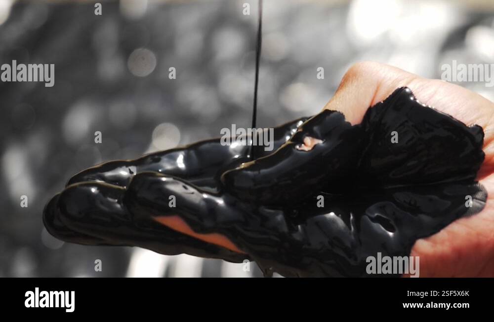 oil in human hands, oil slick, petrol pollution disaster. contamination ...