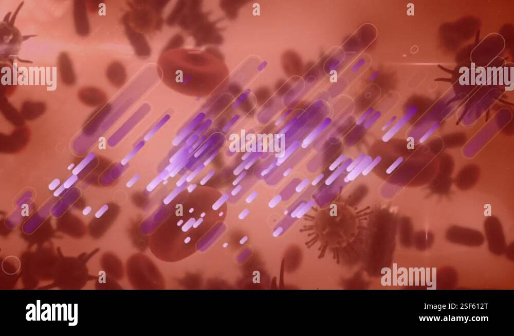 Animation of moving cells over red background Stock Video Footage - Alamy